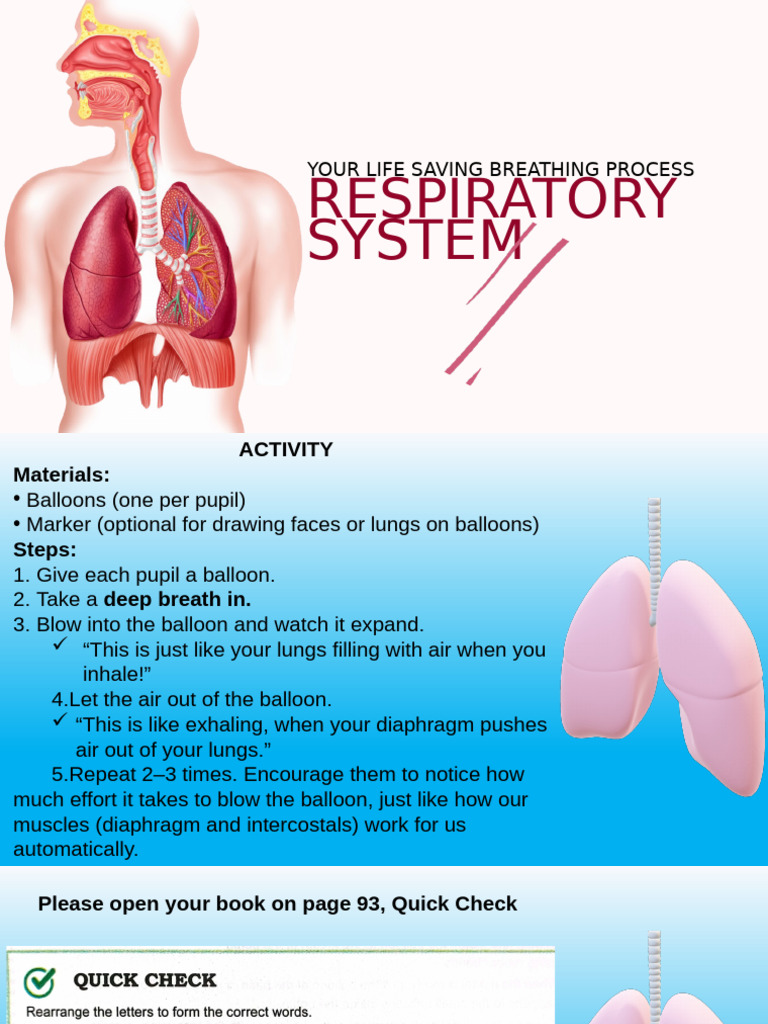 Parts of The Respiratory System Educational Presentation in Pink Clean ...