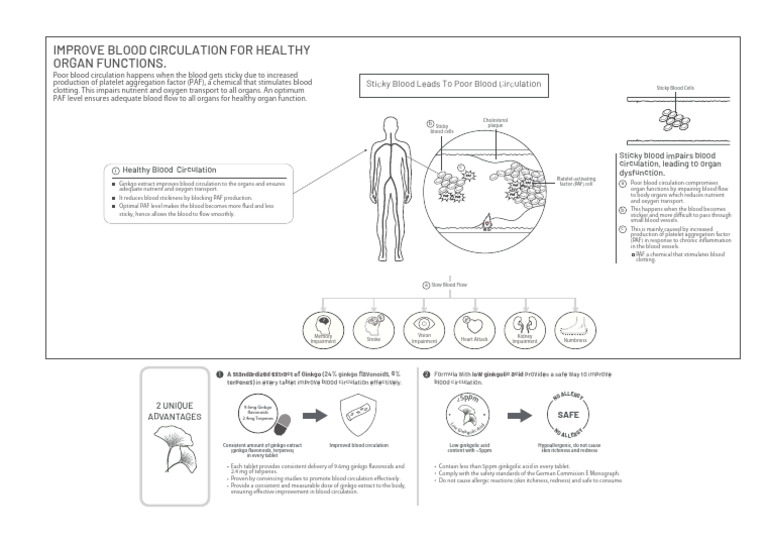 Enhance Blood Circulation Naturally | PDF | Blood | Circulatory System