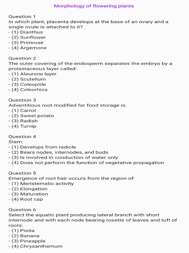 Morphology Quiz | PDF