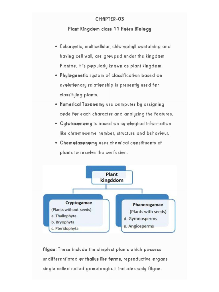 BIOLOGY (Chapter 3 - Plant Kingdom) | PDF