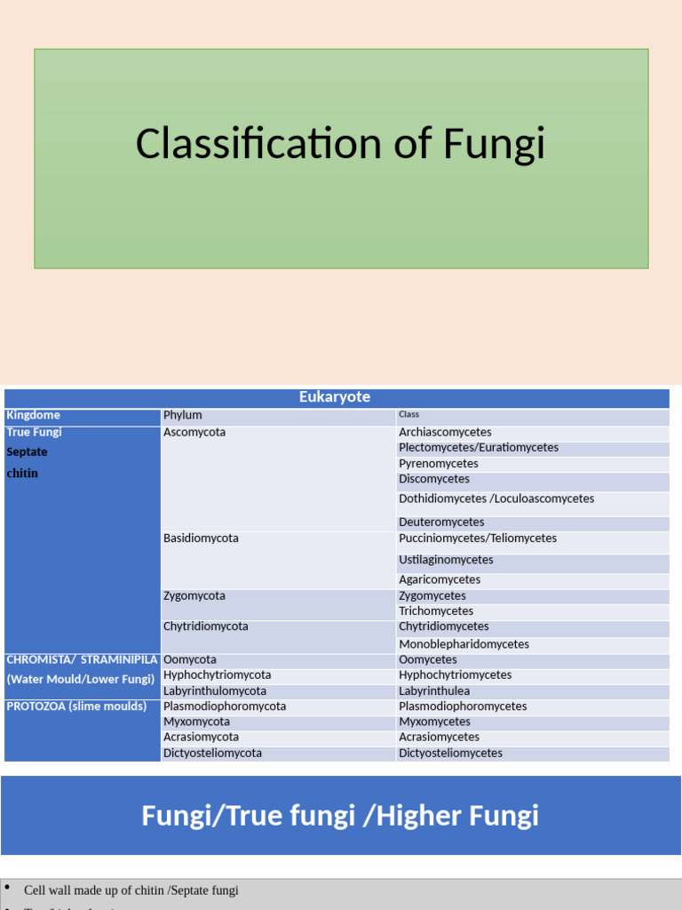 Classification | PDF | Fungus | Mycology