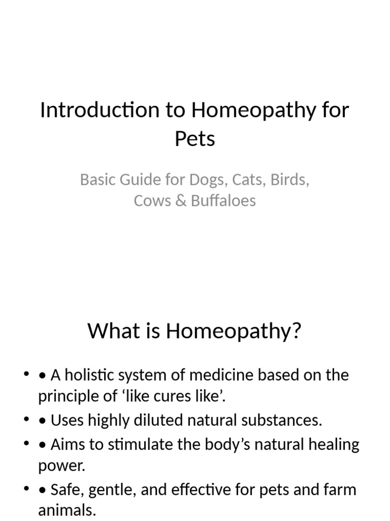 Homeopathy For Pets | PDF