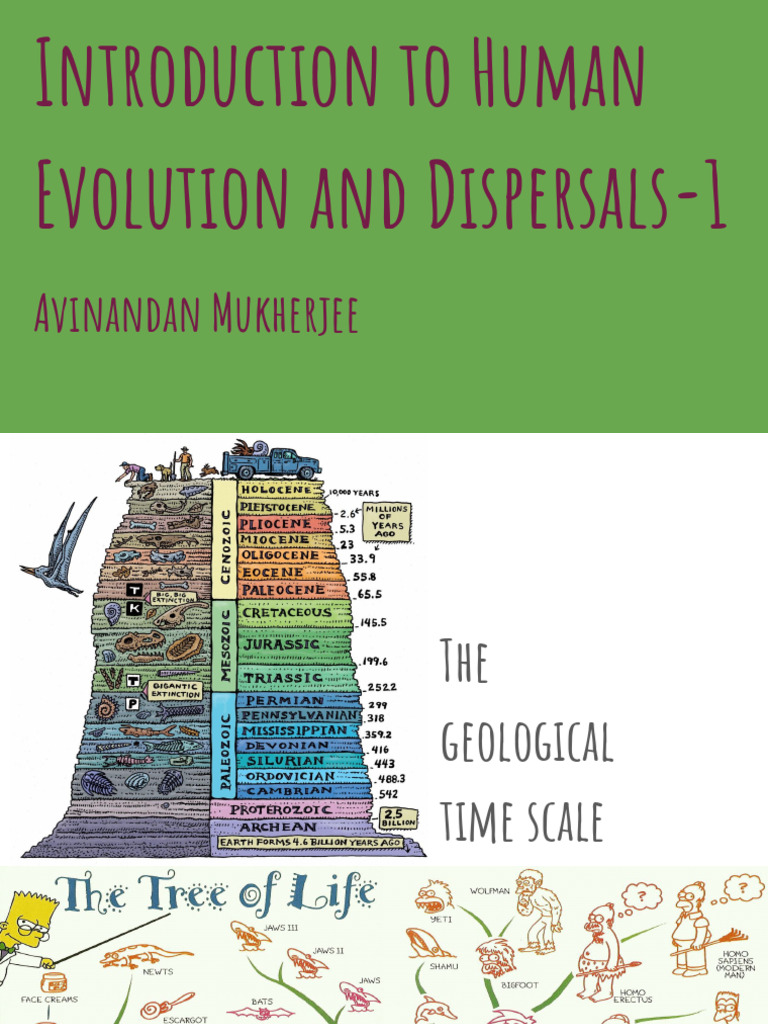 Human Evo & Dispersals Presentation 1 | PDF | Bipedalism | Biological ...