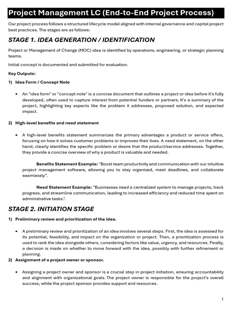 End-to-End Project Management Process | PDF | Goal | Risk