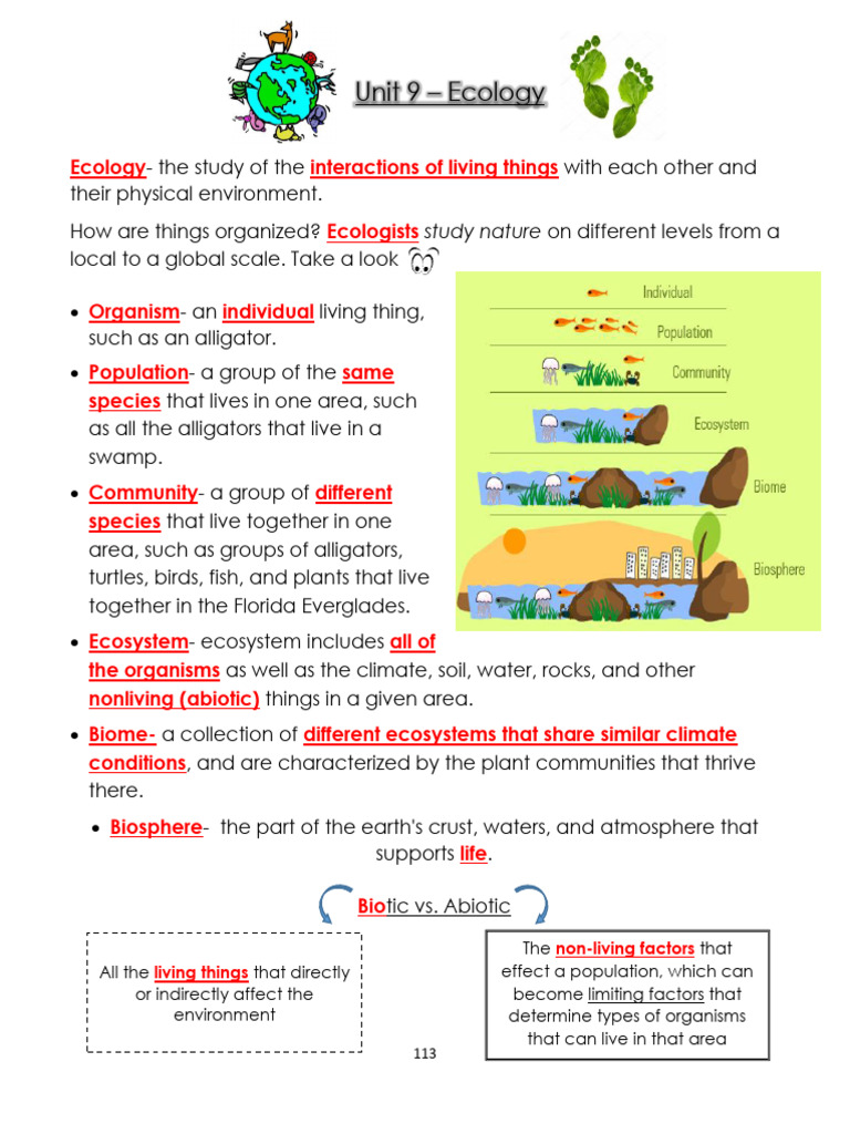 Ecosystem Grade 9 | PDF | Food Web | Ecosystem