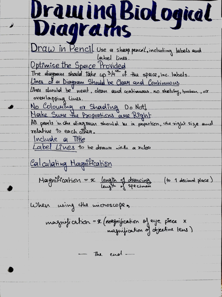 Drawing Biological Diagrams | PDF