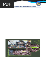 Narra Tree | PDF | Trees | Ecological Resilience