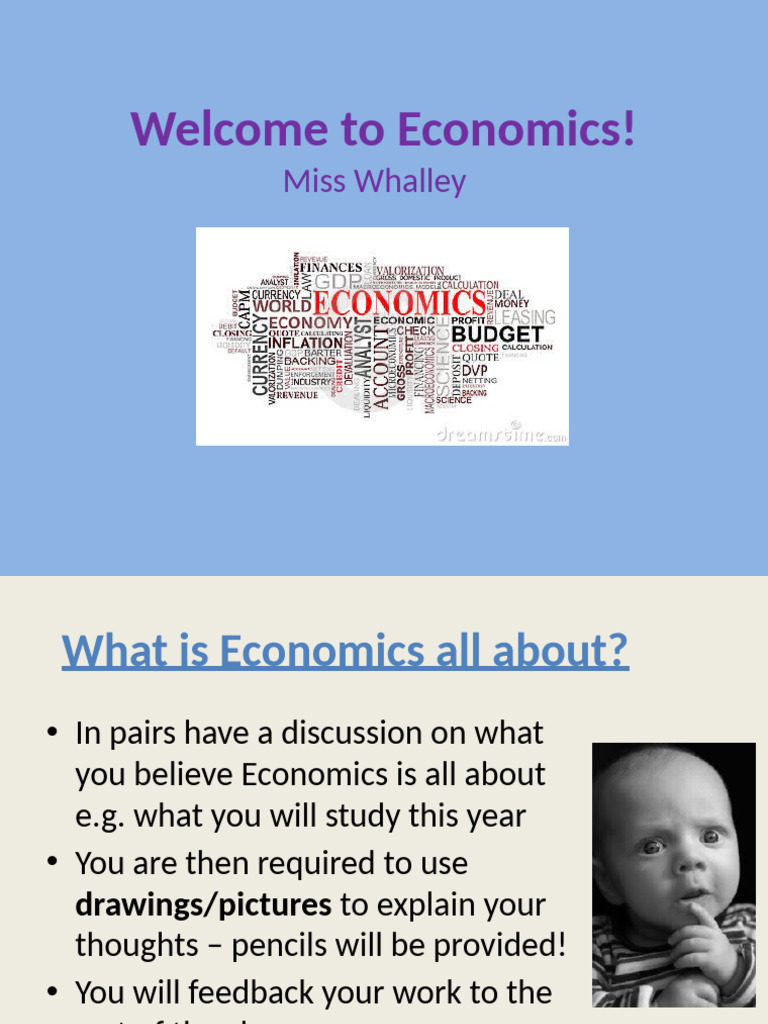 Introduction to Economics Concepts | PDF