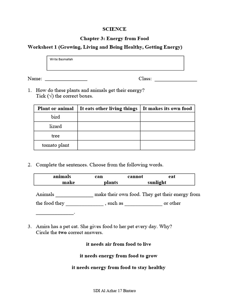 Energy from Food Worksheet for Kids | PDF