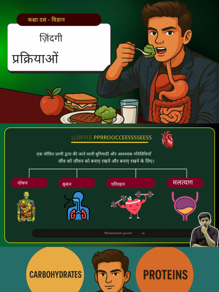 Life Processes - One Shot (Prashant Kirad) - 1-81 | PDF