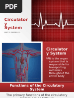 Human Circulatory System | PDF | Blood Vessel | Heart