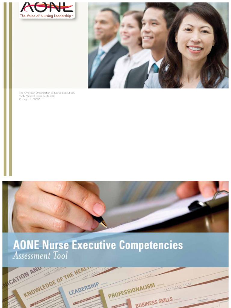 AONE Nurse Executive Competencies Tool | PDF | Nursing | Expert