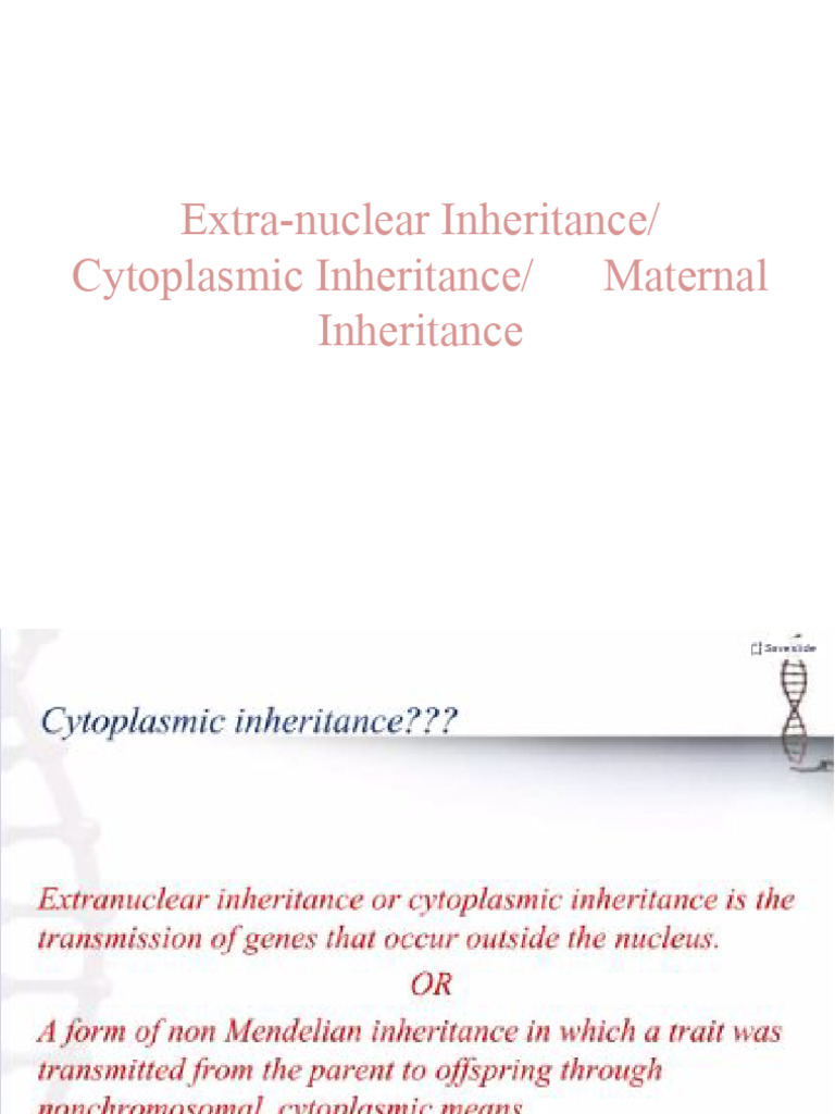 Extra Nuclear Inheritance | PDF