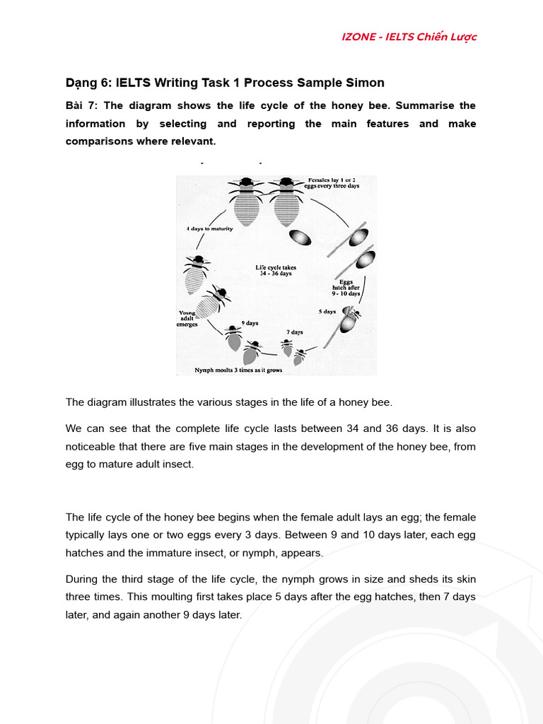 IELTS Writing Task 1 Process Sample Simon | PDF | Water Cycle | Water