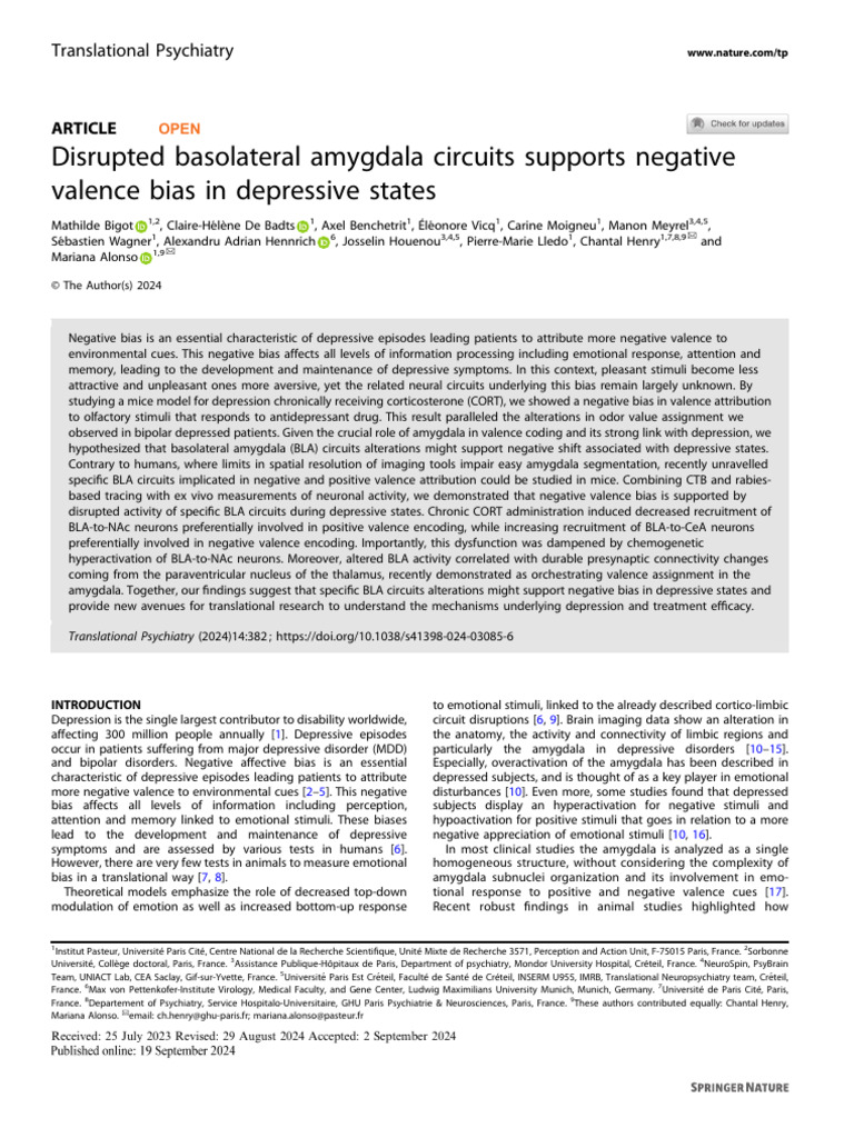 Disrupted Basolateral Amygdala Circuits Supports Negative Valence Bias ...