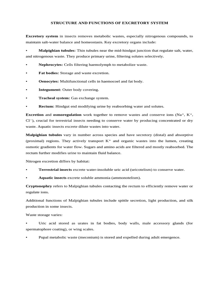 Insect Excretory System Overview | PDF | Excretion | Insects