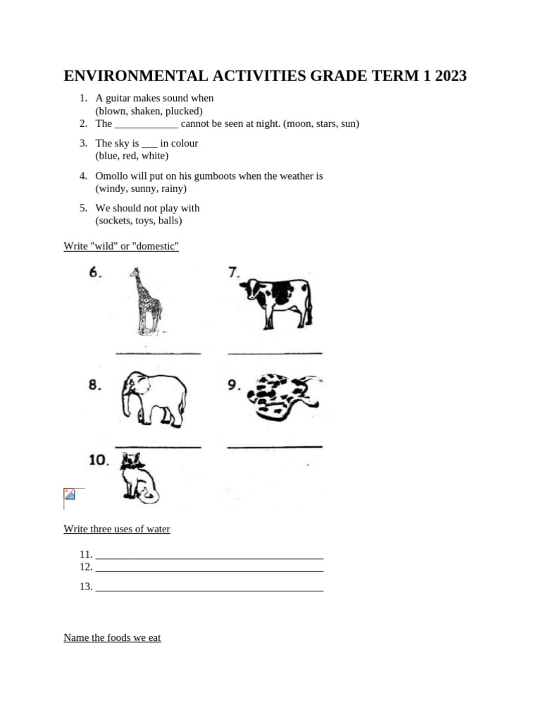 Environmental Activities Grade 1 Term 1 | PDF