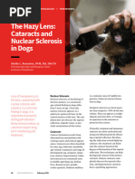 Nuclear Sclerosis Cataract Grading Guide | PDF