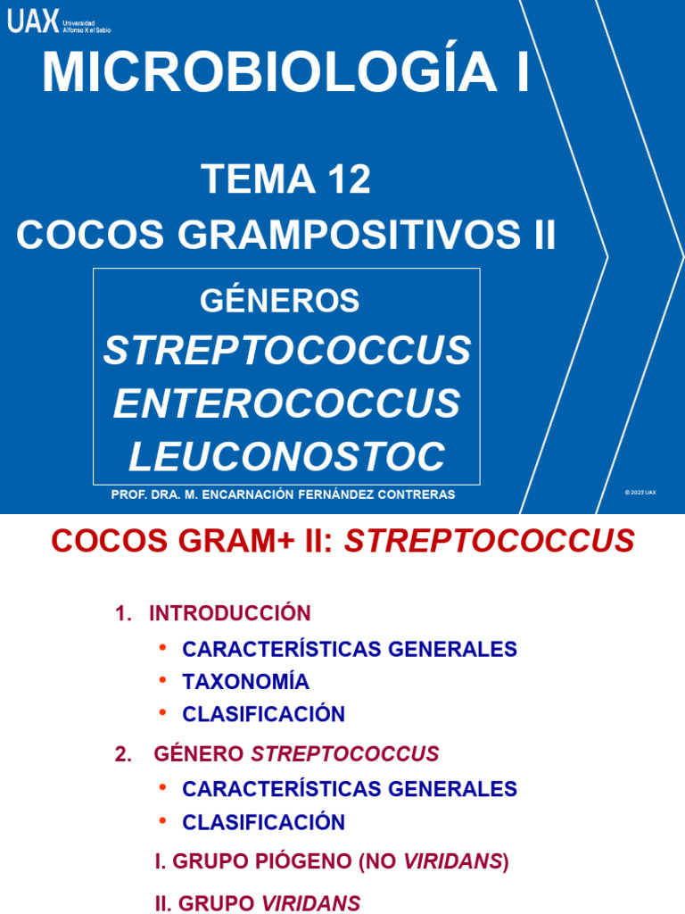 2025 Mg12 Cocos Grampositivos II Streptococcus Enterococcus Leuconostoc | PDF | Estreptococo ...