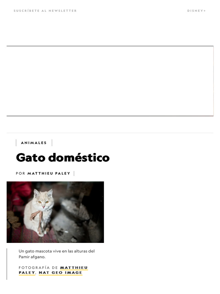 Gato Doméstico - National Geographic | PDF | Zoología