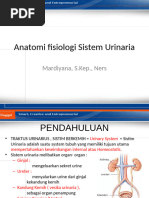 Pemahaman Tractus Urinaria dan Fisiologinya | PDF