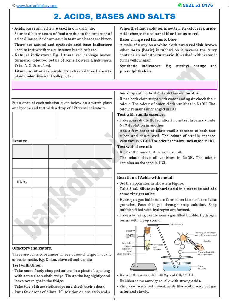 Acids, Bases, and Salts Explained | PDF | Sodium Hydroxide | Acid