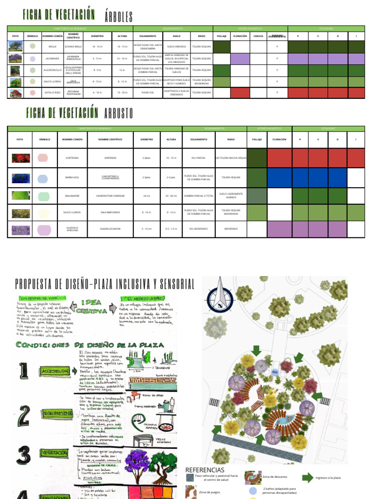 Ficha de Vegetación | PDF | Arboles | Botánica