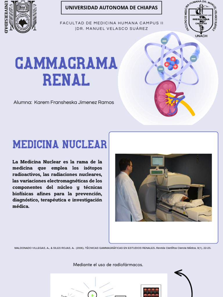 Gammagrama Renal y Renograma | PDF | Riñón | Nefrología
