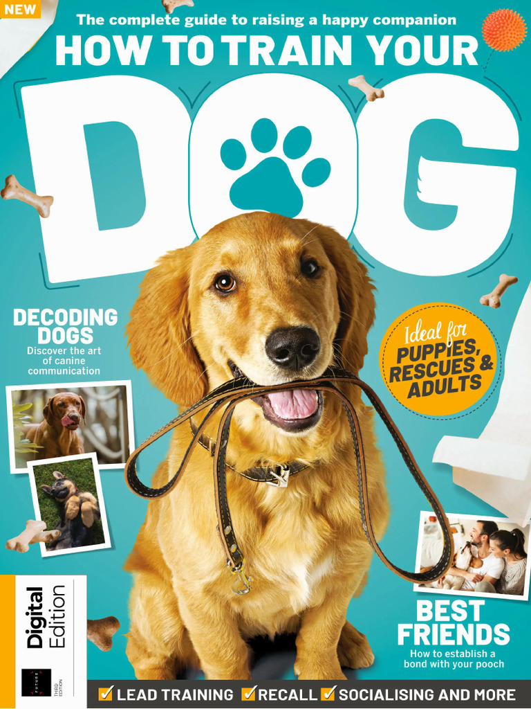 How To Train Your Dog - 3rd Edition - 3 April 2025 | PDF