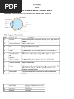 Understanding Glare: Types and Effects | PDF | Contrast (Vision) | Eye