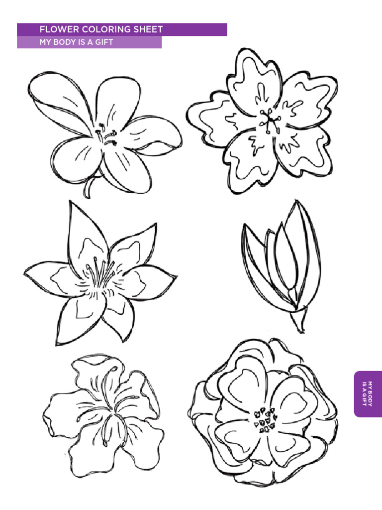 REV Grade 1 Flower Coloring Sheet | PDF
