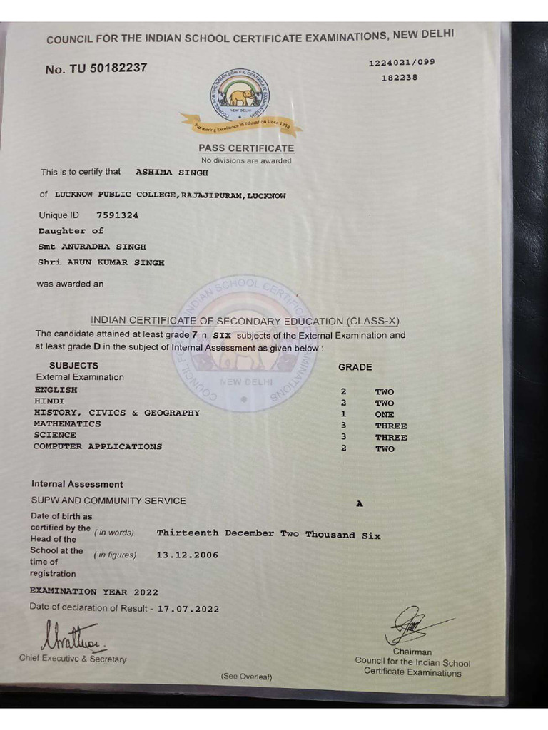 Board Certificate | PDF