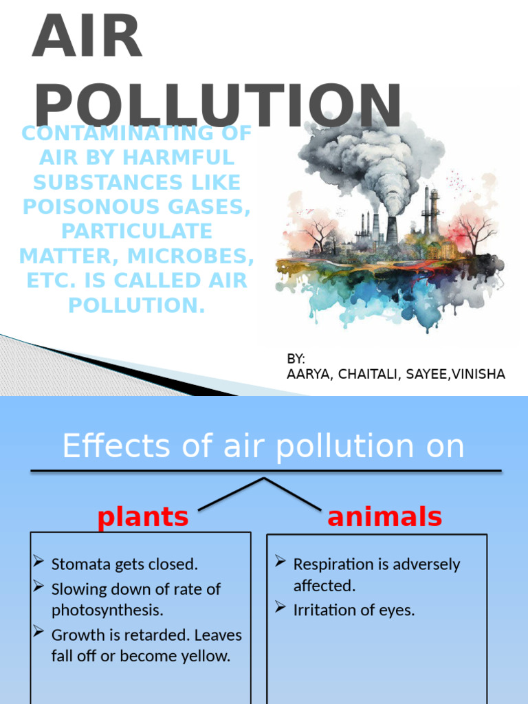 Presentation On Pollution | PDF
