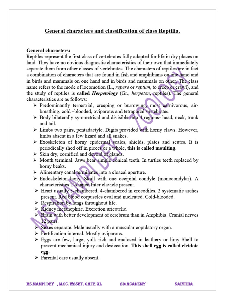 Reptiles Classification 1 | PDF | Reptile | Turtle