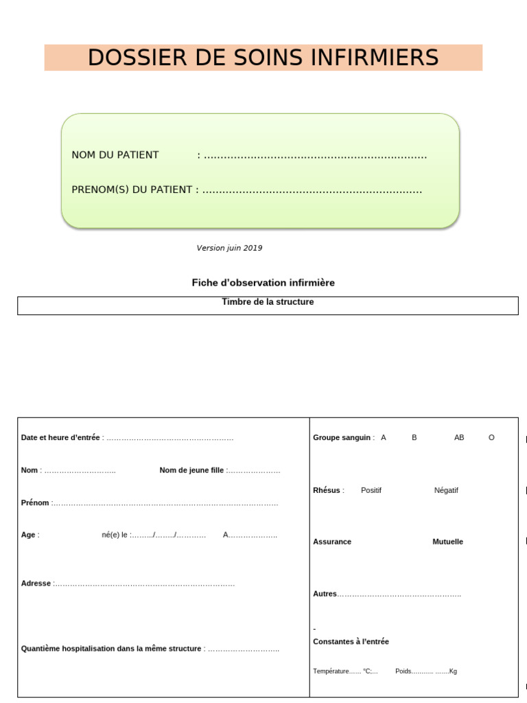Dossier de Soins Infirmiers Complet | PDF | Allaitement | Médecine clinique