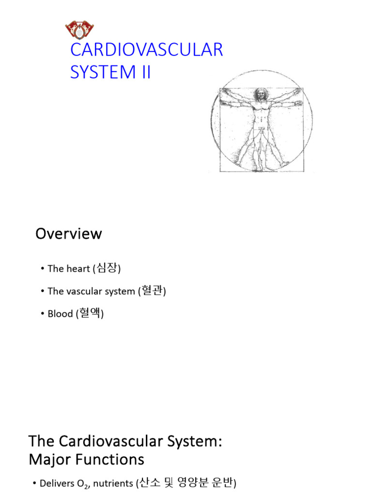 Cardiovascular System Overview and Functions | PDF | Heart Valve | Heart