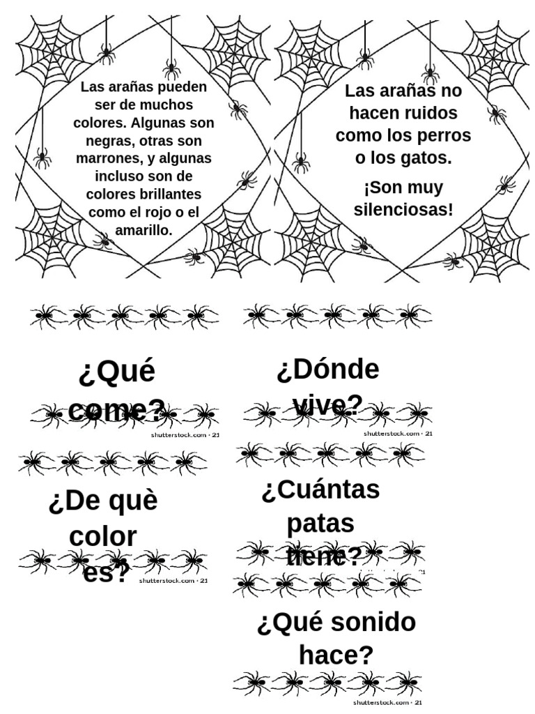 Características y Hábitat de las Arañas | PDF