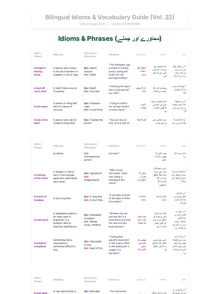 Idioms & Vocabulary Guide Vol. 22 | PDF