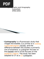 CT Urography: Techniques & Protocols | PDF | Ct Scan | Kidney