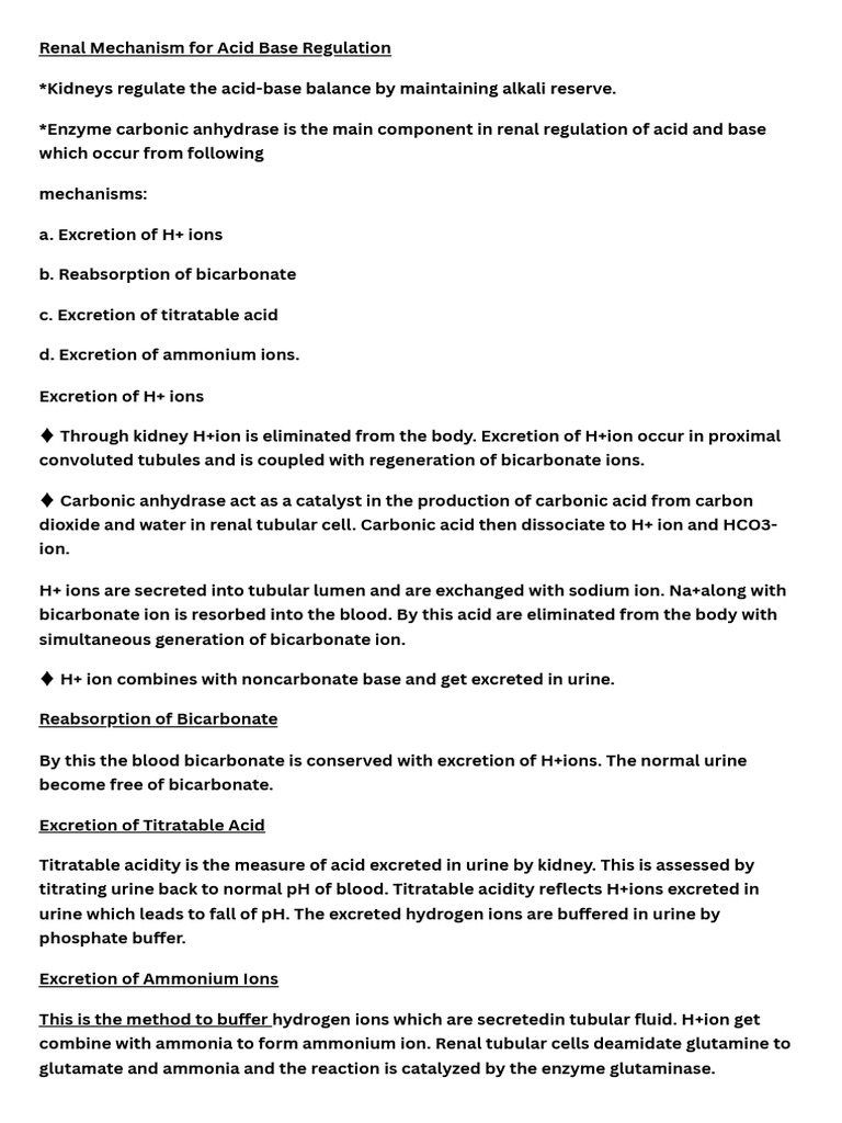 Renal Acid-Base Regulation Mechanisms | PDF