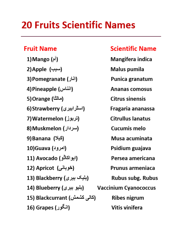 100 Scientific Names | PDF