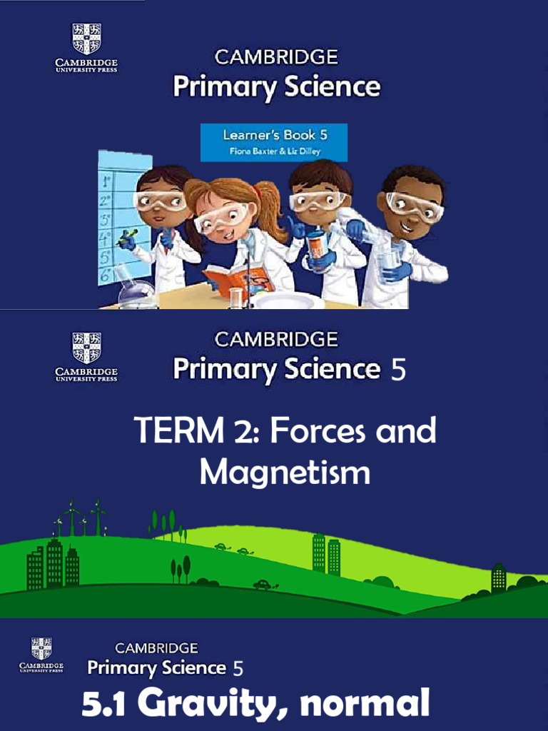Forces and Magnetism: Gravity Explained | PDF