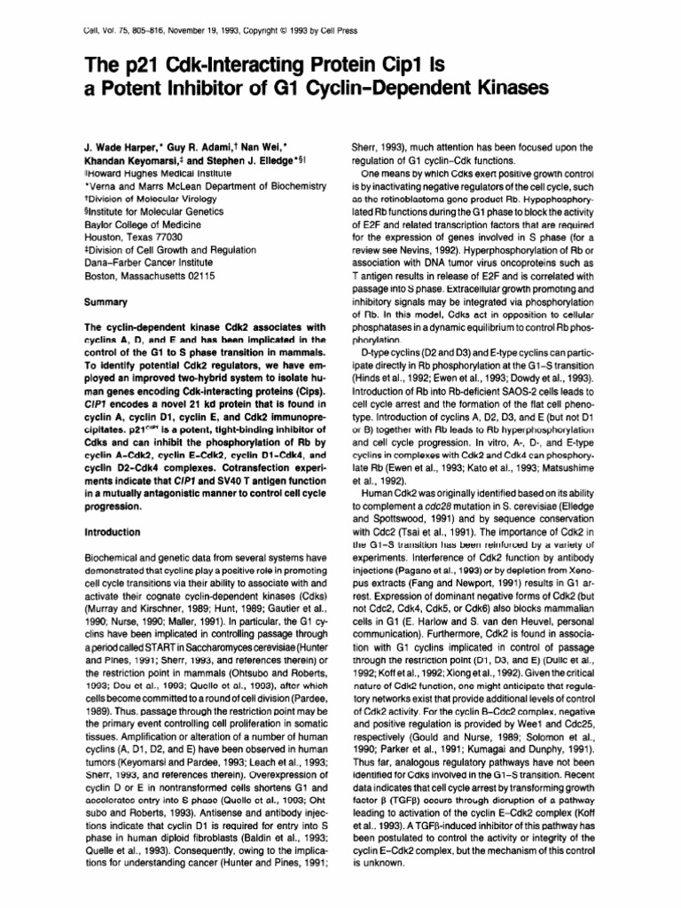 p21 Cdk-Interacting Protein Inhibits Cdk2 | PDF | Cell Cycle | Biology