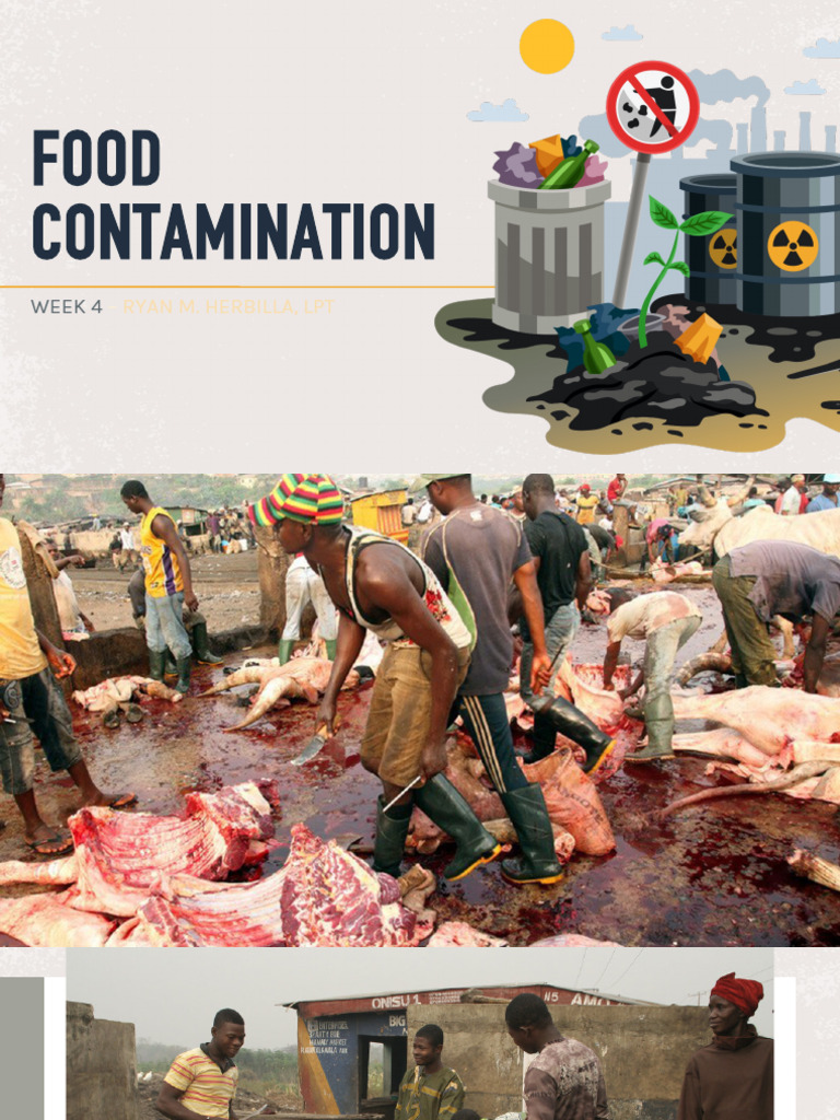 Food Contamination Prevention Guide | PDF | Refrigerator | Hygiene