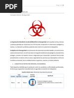 Documento 4 B Decoloración Capilar | PDF | Pelo | Color