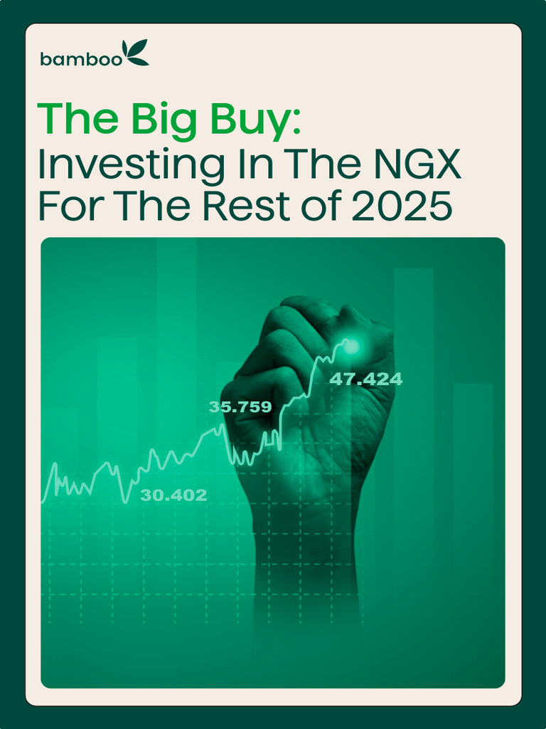 The Big Buy - Investing in The NGX For The Rest of 2025 | PDF ...