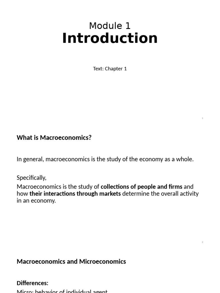 Understanding Macroeconomics Basics | PDF | Macroeconomics | Economics