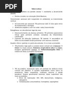 Diagnóstico e Tratamento da ILTB em SP | PDF | Tuberculose ...