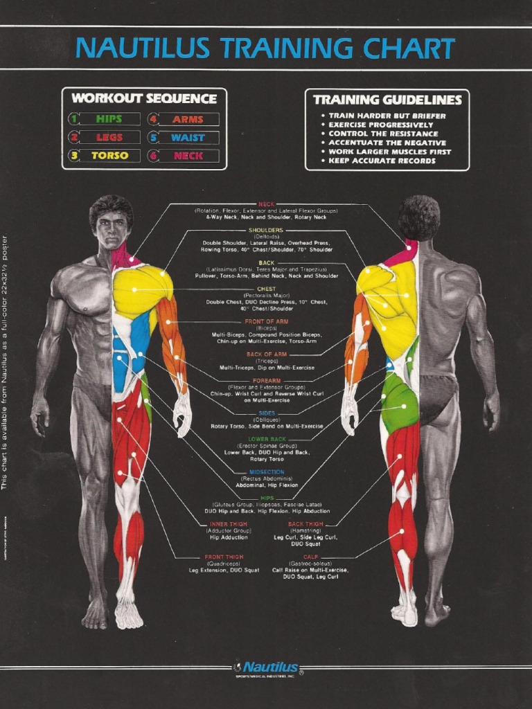 Nautilus Training Chartrtgehfd | PDF