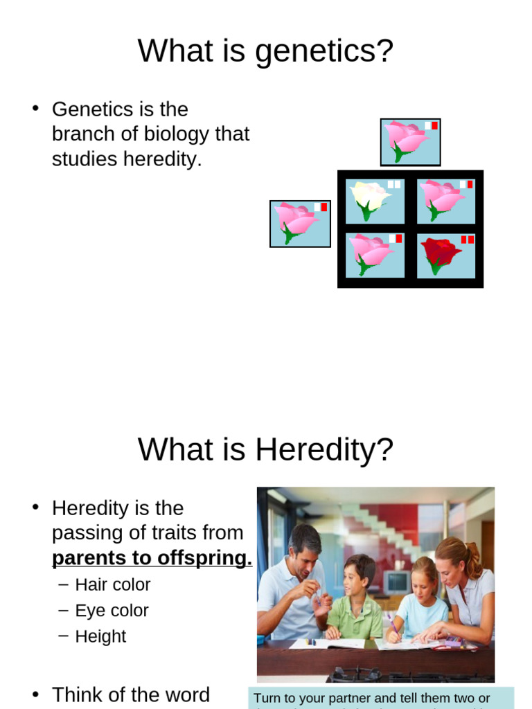 Understanding Genetics and Heredity | PDF | Genotype | Dominance (Genetics)
